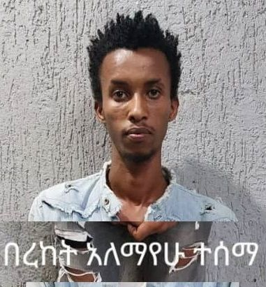 Miseensonni Garee Shororkeessaa To’annaa Jala Oolan - ENA Afaan Oromoo ...