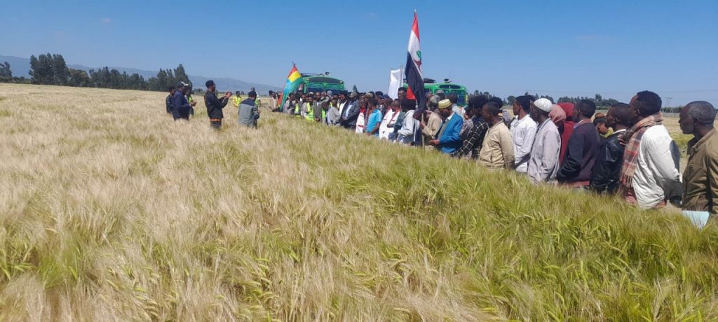 Godinichatti dargaggoonni gurmaa'anii hojii qonnaa hojjechaa jiran ...