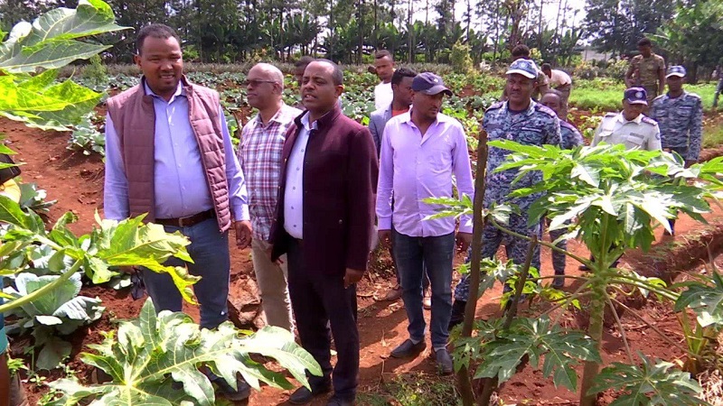 Manni sirreessaa godina Iluu Abbaa Booraa hjii sirreessuun ala ...