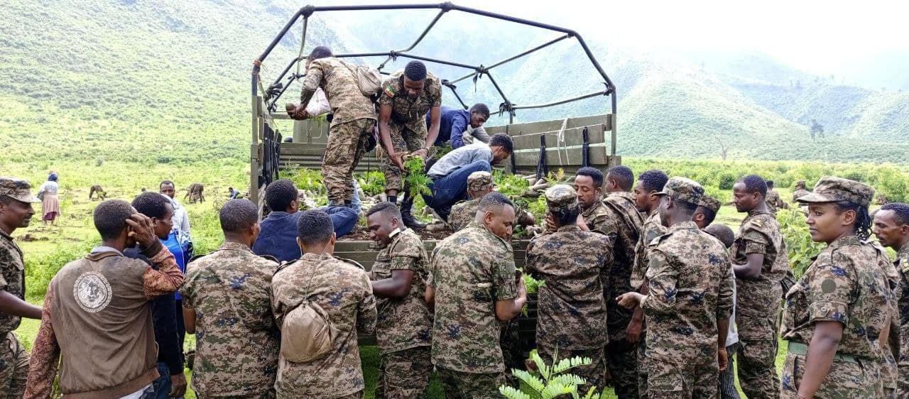 የኢትዮጵያ መከላከያ ሰራዊት አባላት አረንጓዴ አሻራቸውን እያኖሩ ነው - ኢዜአ አማርኛ - ENA