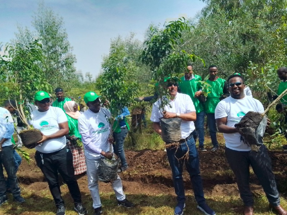 በኦሮሚያ ክልል በዘንድሮው የአረንጓዴ አሻራ ፕሮግራም ከ555 ሚሊዮን በላይ የፍራፍሬ ችግኞች ይተከላሉ - አቶ ...