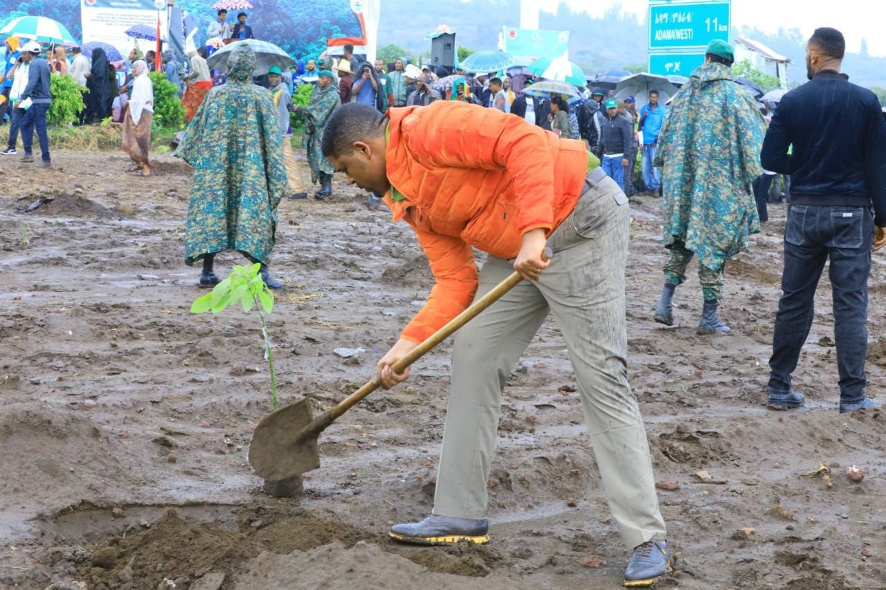 Oromia, Amhara States Planting Seedlings as Part of Premier's Call ...