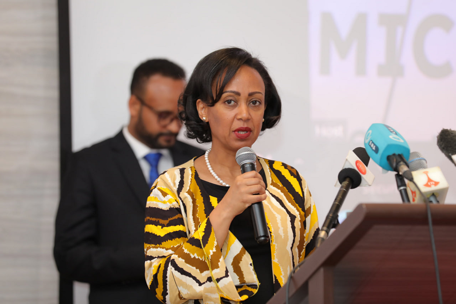 Holistic, Multi-sectoral EPPR Launched to Address Public Health Crisis ...