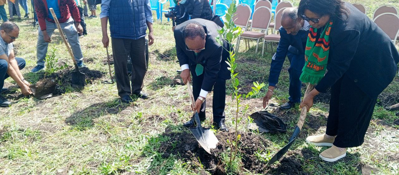Ethiopia’s Commitment to Environmental Conservation Intertwines with ...