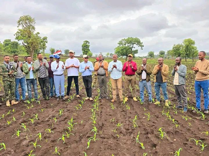 Farmers Witnessing Surge in Production through Cluster Farming Practice ...