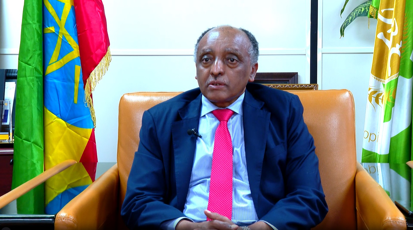 Ethiopian Dev't Bank Achieves Significant Loan Portfolio Improvement in ...