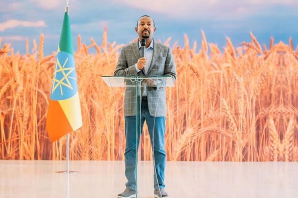 PM Abiy Stresses Need to Boost Agricultural Export Trade by Increasing ...