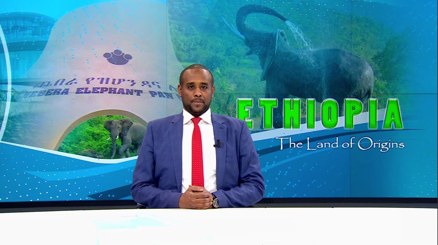 Ethiopia Somaliland MoU Expedites Aspirations of African Forefathers ...