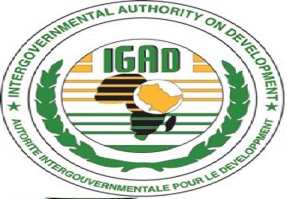 IGAD Revitalization Forum for South Sudan Registers Some Progress - ENA ...
