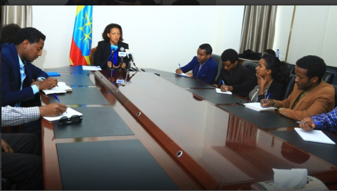 Ethiopia Playing Leading Role in South Sudanese Negotiations: Foreign ...
