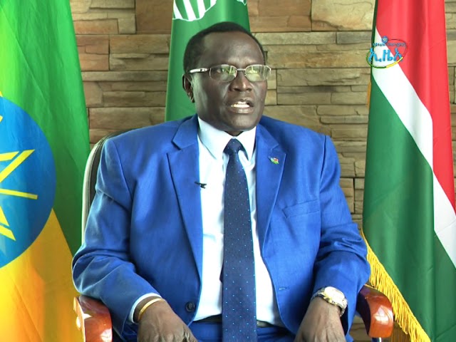 New Year wish: Ambassadors - ENA English - ENA