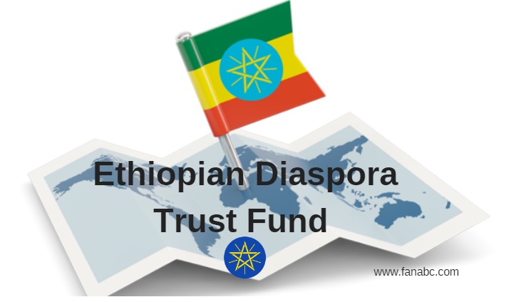 Ethiopian Diaspora Trust Fund Begins Receiving Contributions - ENA English - ENA