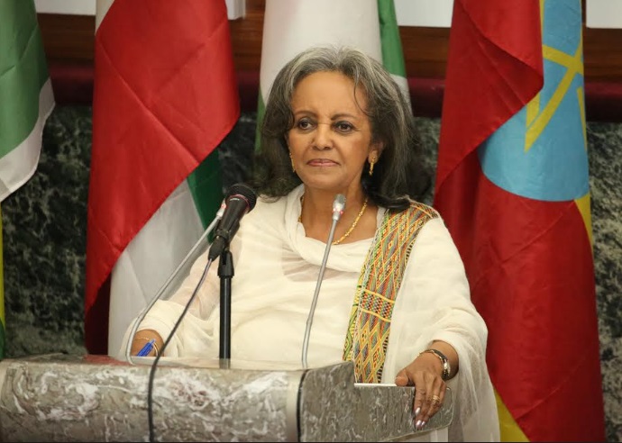 Newly Elected President Called for Lasting Peace in Ethiopia - ENA ...
