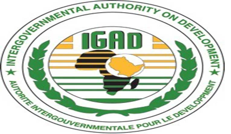 IGAD Council of Ministers Meeting Concluded - ENA English - ENA