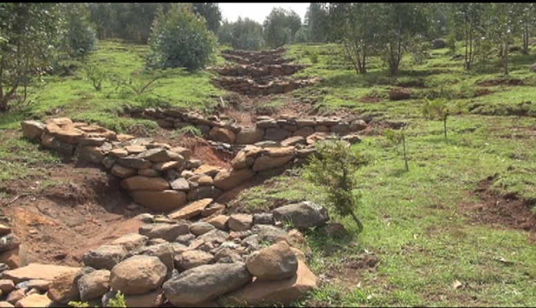 Basin Development on Right Track, Says Ministry of Agriculture - ENA ...