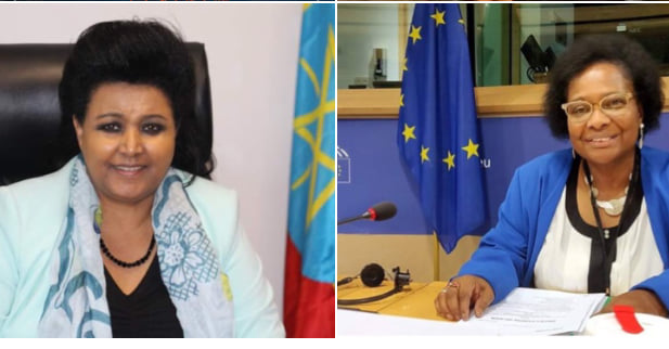 European MP Briefed on Current Situation in Ethiopia - ENA English - ENA