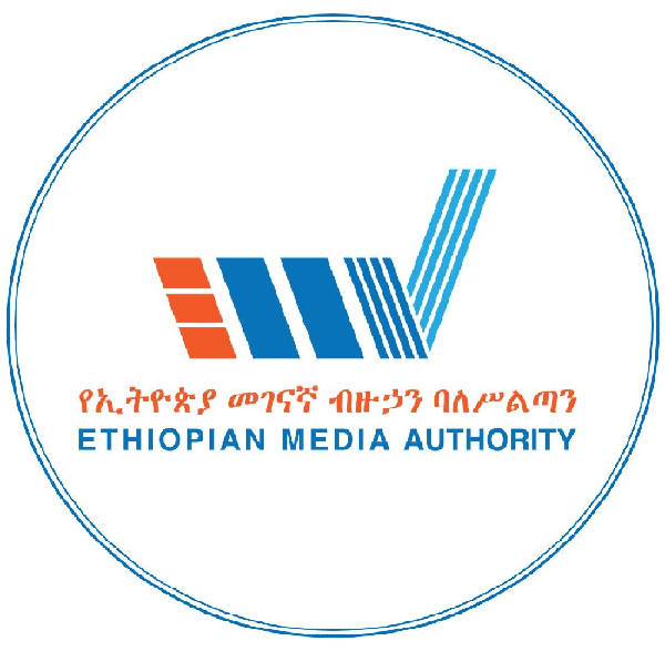 More Than 850 Journalists Covering AU Meeting - ENA English - ENA