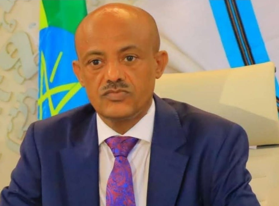 Demonstrations Reflect Public Desire for Peace: Amhara Region Chief ...