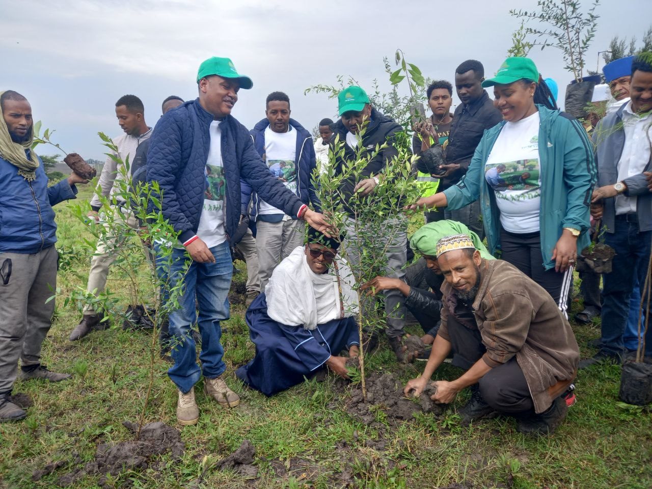 Unity, Solidarity Demonstrated in Green Legacy Needs to be Replicated ...