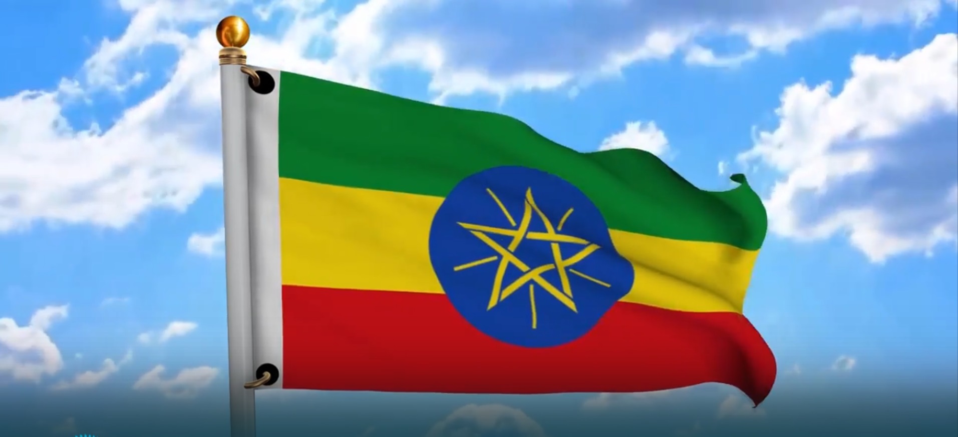Civil Society Organizations Pledge Active Role in Ethiopia’s National ...