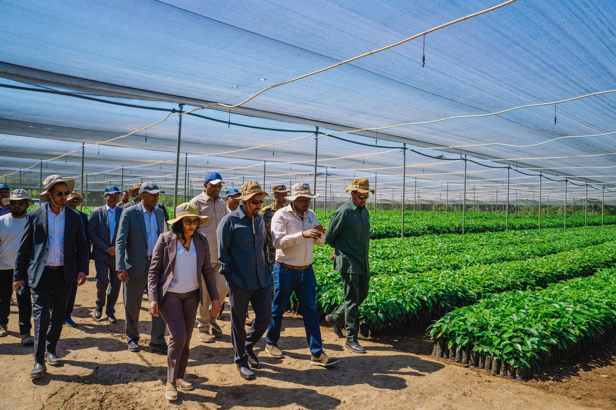PM Abiy and First Lady Zinash Visit Productive Coffee Plantation in ...