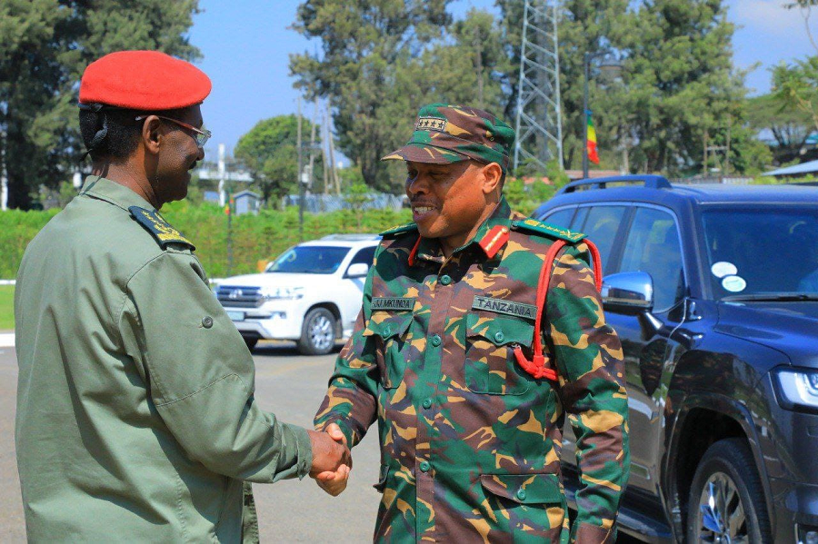 ENDF Chief Receives Tanzanian Defense Force Chief - ENA English - ENA