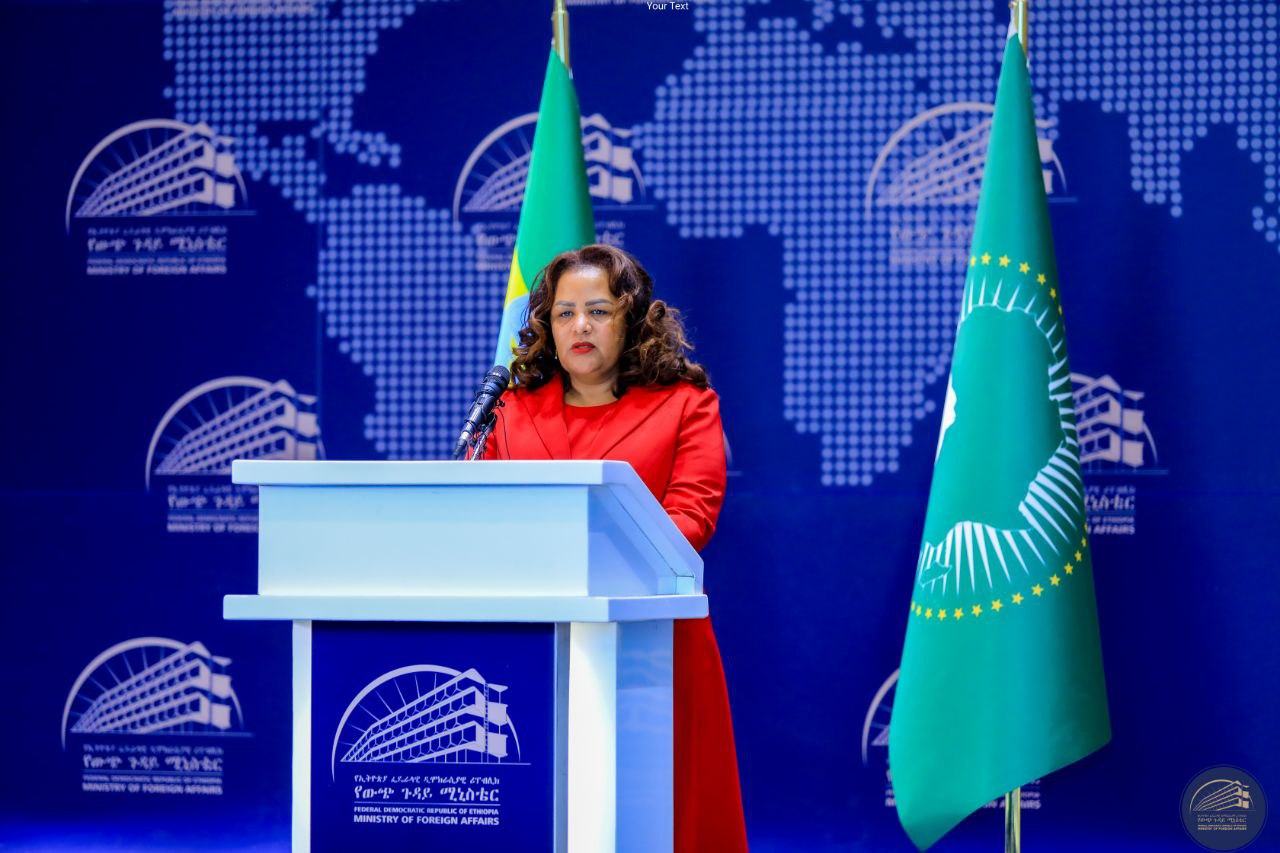 Ethiopia Striving to Enhance Diplomatic Successes by Providing Pre ...