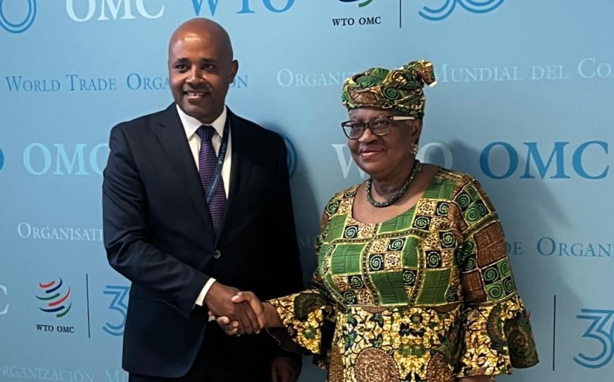 Ethiopia Reaffirms Commitment to WTO Accession - ENA English - ENA