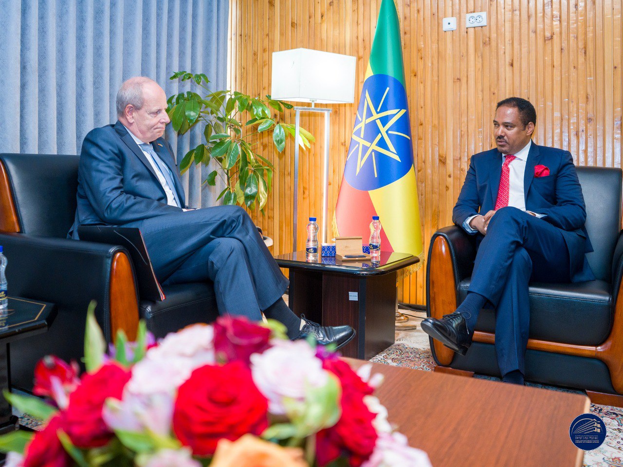 German Diplomat Lauds Ethiopia’s Active Role in Regional Peace, Fight ...