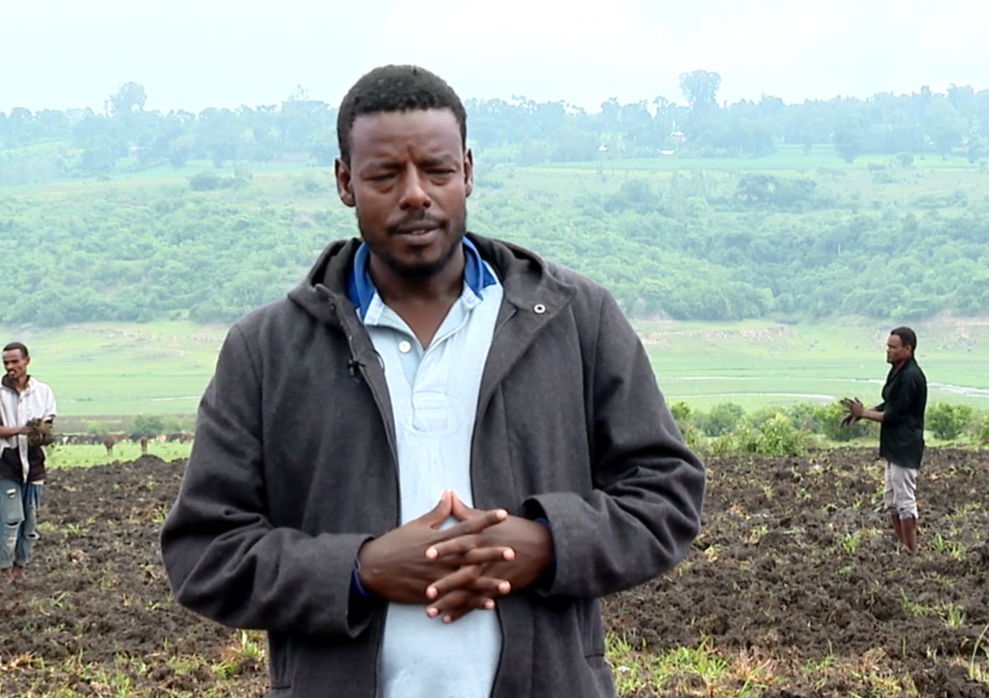 Rice Cultivation Transforms Lives of Jimma Youth - ENA English - ENA