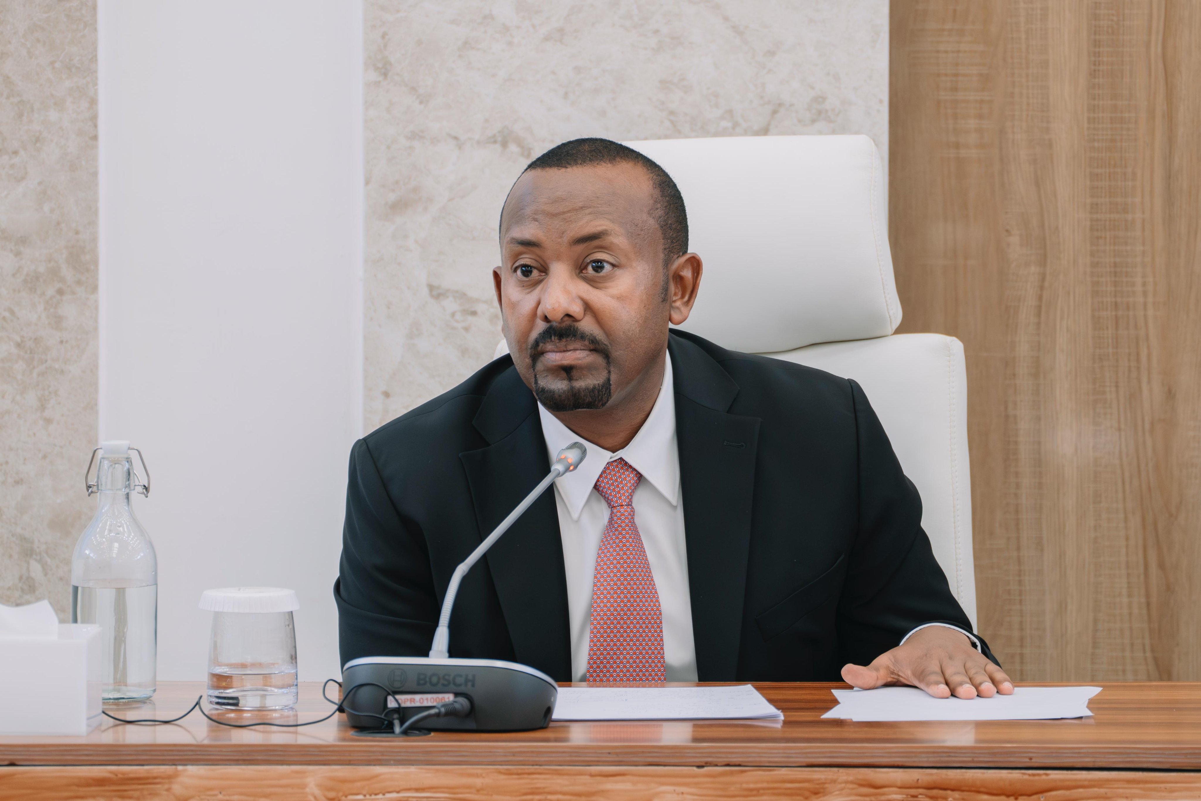 Ethiopia Seeks Regional Growth, Demands Respect: PM Abiy Ahmed - ENA ...