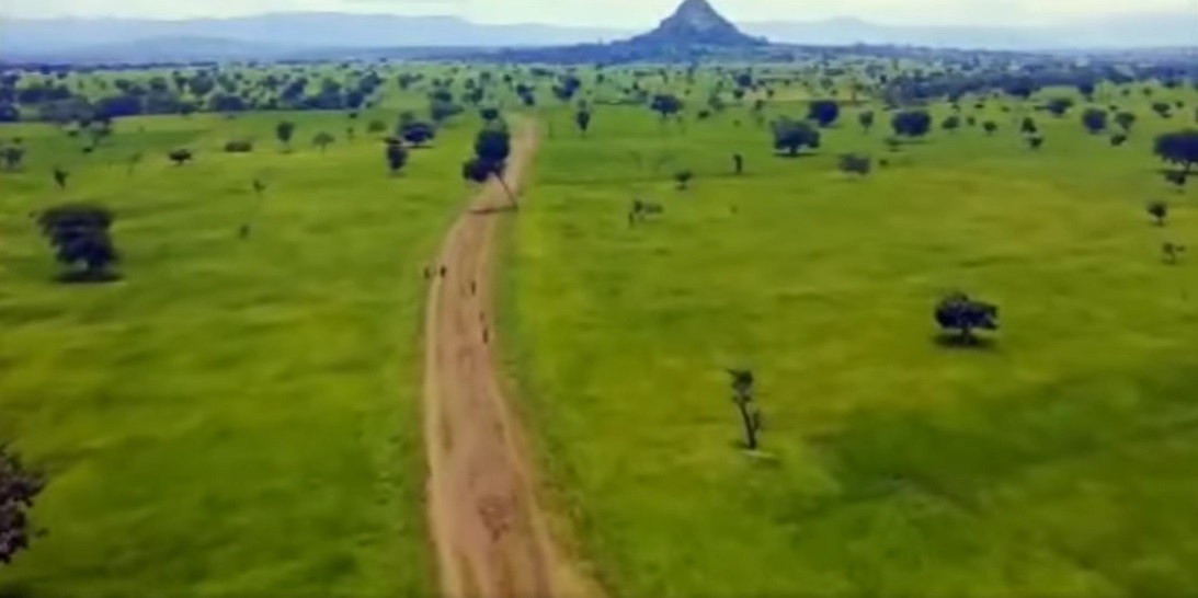 Ethiopia Expects Much Larger Rice Production This Year: PM Abiy - ENA ...