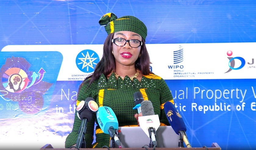 SMEs Essential in Driving Ethiopia’s Economic Growth: WIPO Acting ...