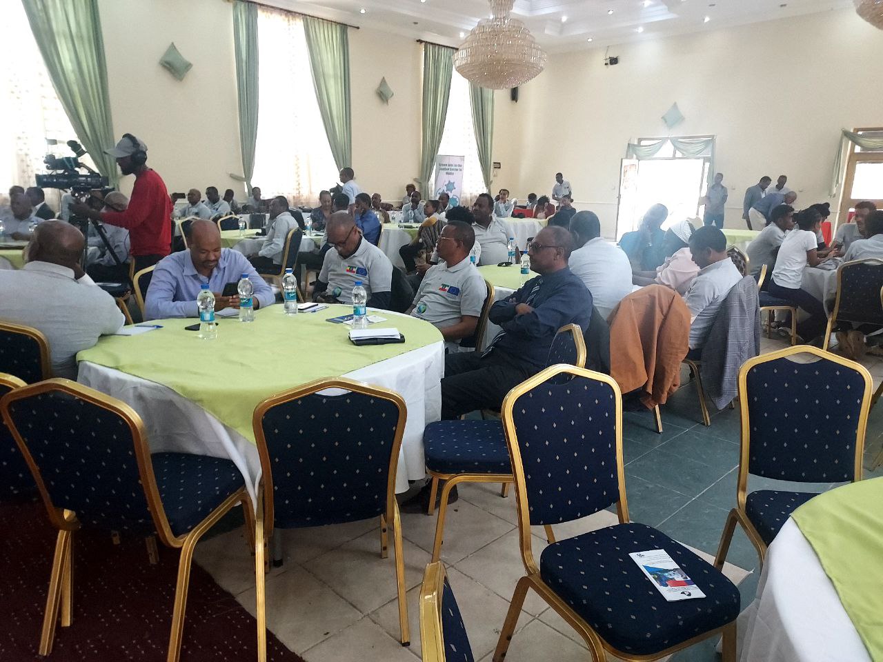 Int’l Day of Micro, Small & Medium Enterprises Being Celebrated in Mojo ...