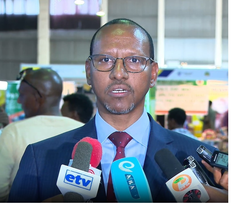 More Effort Required to Support Industry Sector to Realize Big Goals ...