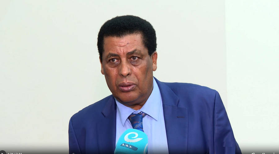 BRICS Alliance Instrumental for Ethiopia to Boost Diplomatic, Economic ...