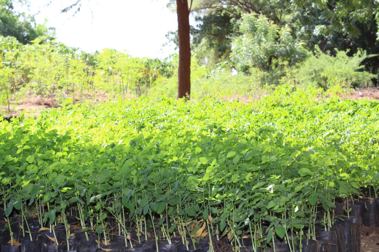 Small-Scale Irrigation Emerging as Transformative Force Across Lowlands ...