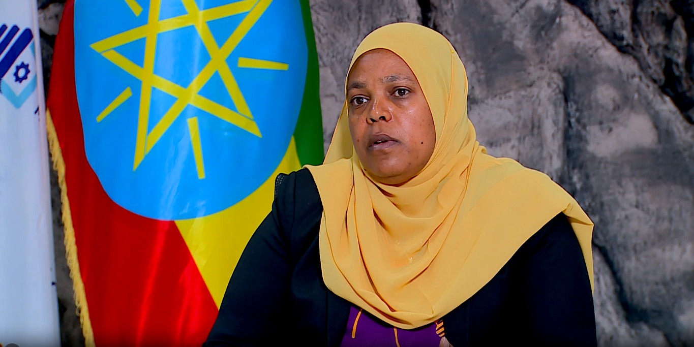 Some 301,000 Ethiopians Secure Job in Foreign Countries in Ten Months ...