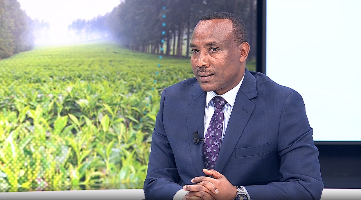 Over 160 Investors Begin Operation In Agriculture In Past Two Yrs in S ...