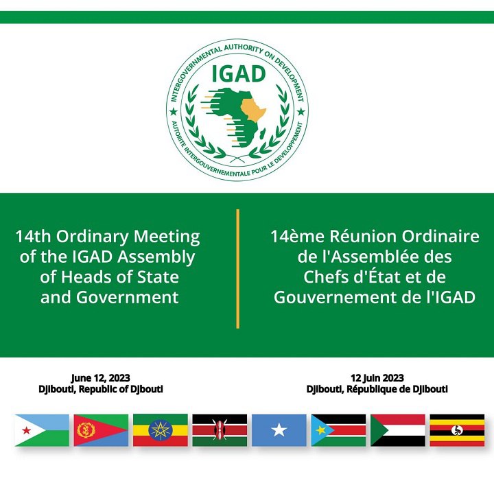 IGAD to Convene 14th Ordinary Summit in Djibouti by Tomorrow - ENA ...