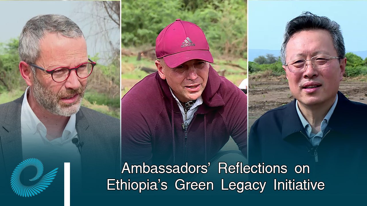 Ambassadors' Reflections on Ethiopia’s Green Legacy Initiative - ENA ...