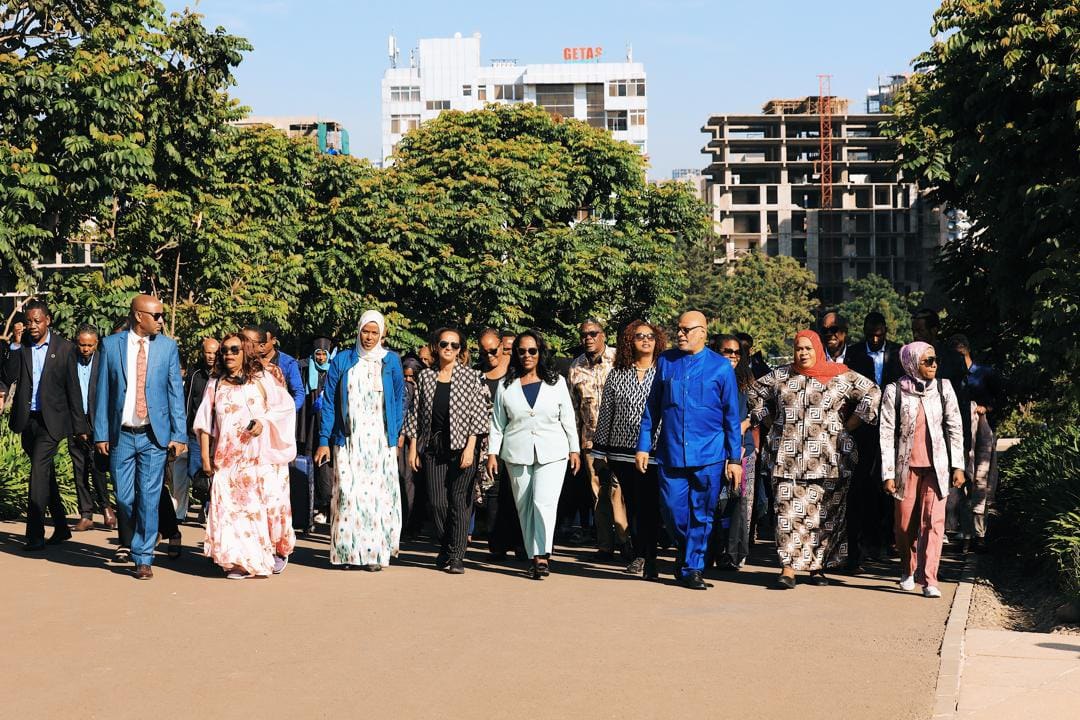 Zambia, Kenya Keen to Replicate Early ECD Program Under Implementation in Addis Ababa - ENA ...