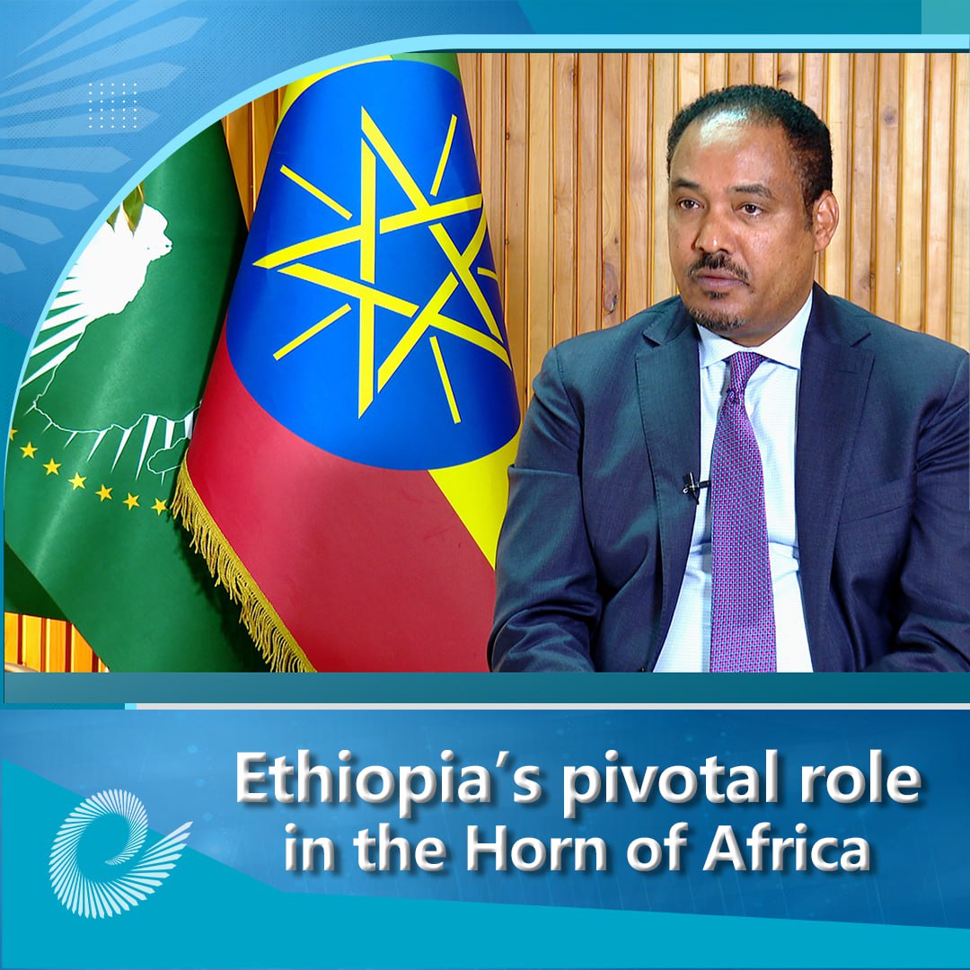 Ethiopia Is Playing Pivotal Role in Bringing Stability in the Horn of ...