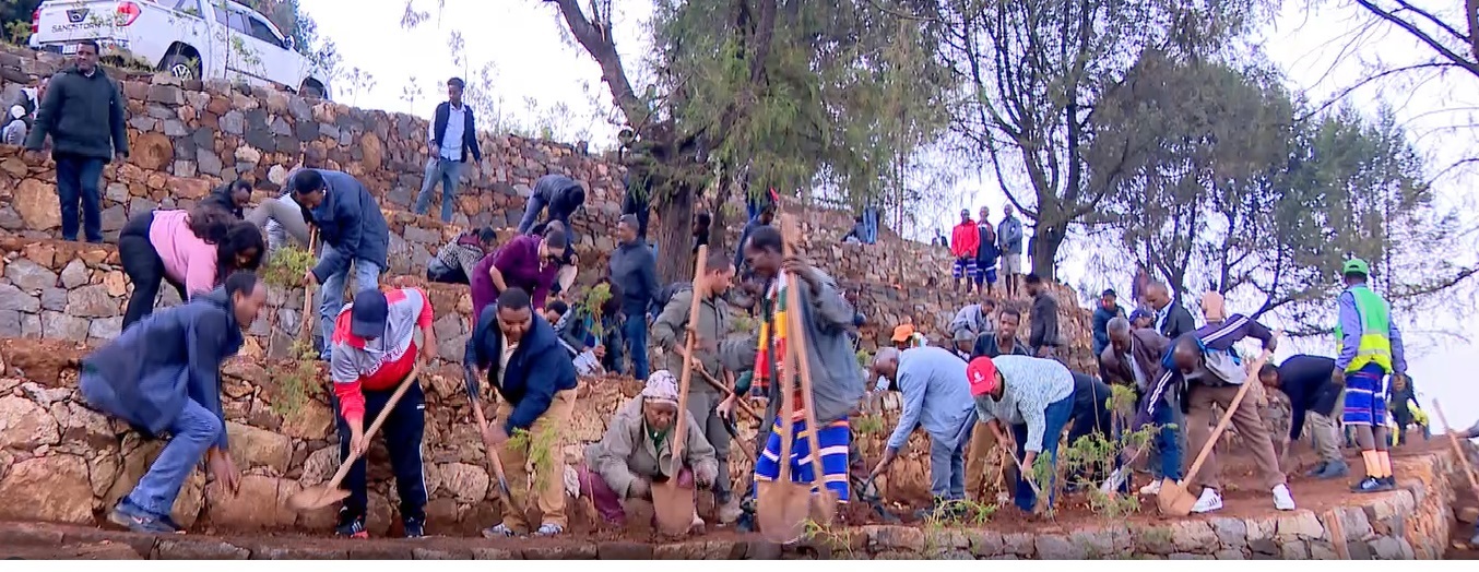 PM Says Green Legacy Initiative Good Opportunity to Expand Indigenous ...