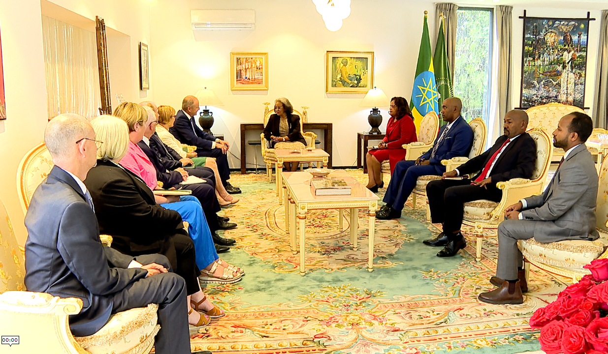 Ethiopia, Ireland Affirm Necessity to Fully Harness Potential for ...