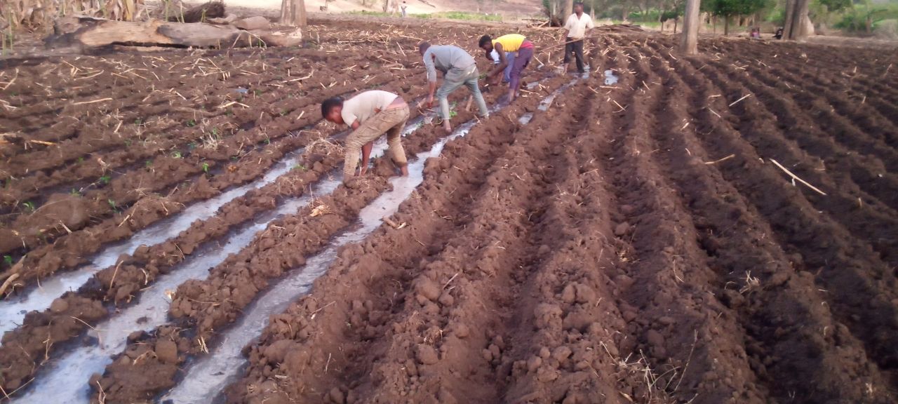 Boorana Bahaatti filannoo bishaanii jiru adda addaa fayyadamuun lafa ...