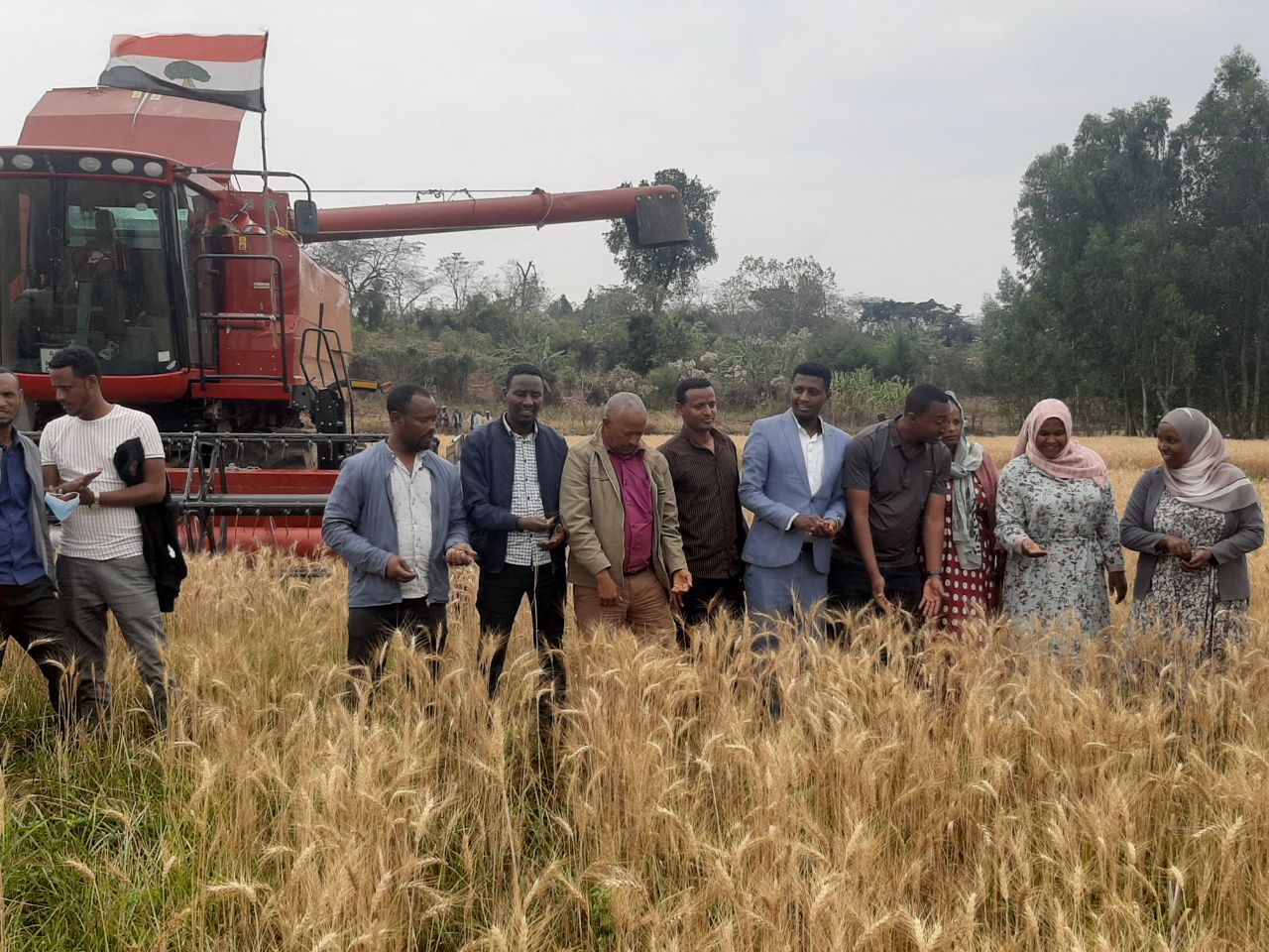 Godina Jimmaa aanaa Manchootti Oomishinni Qamadii Jallisii bonaan ...