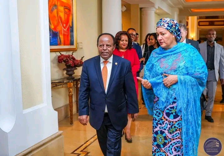 Itoophiyaan yaa'ii misooma Faayinaansii idil addunyaa 4ffaa ga'umsaan ...