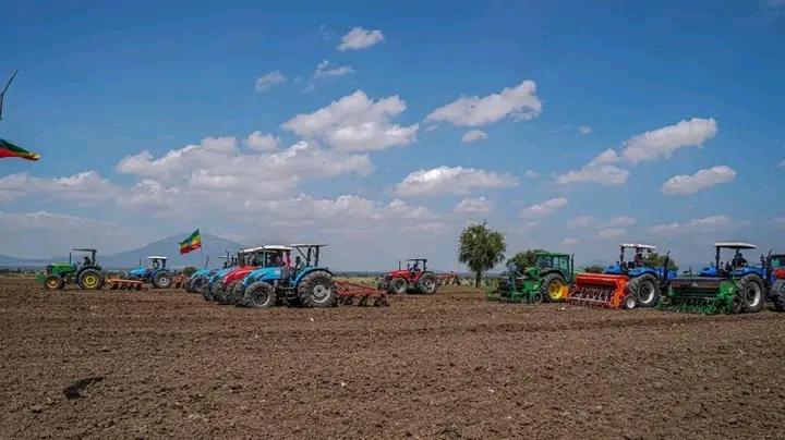 Jilli Doktar Abiyyiin durfamu hojii facaasaa omisha qamadii daawwachaa ...