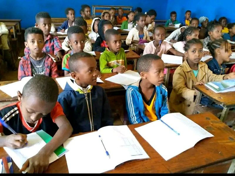 Godina Wallagga Lixaa Manneen Barnootaa 794 tti Barumsi Kennamaa Jira ...